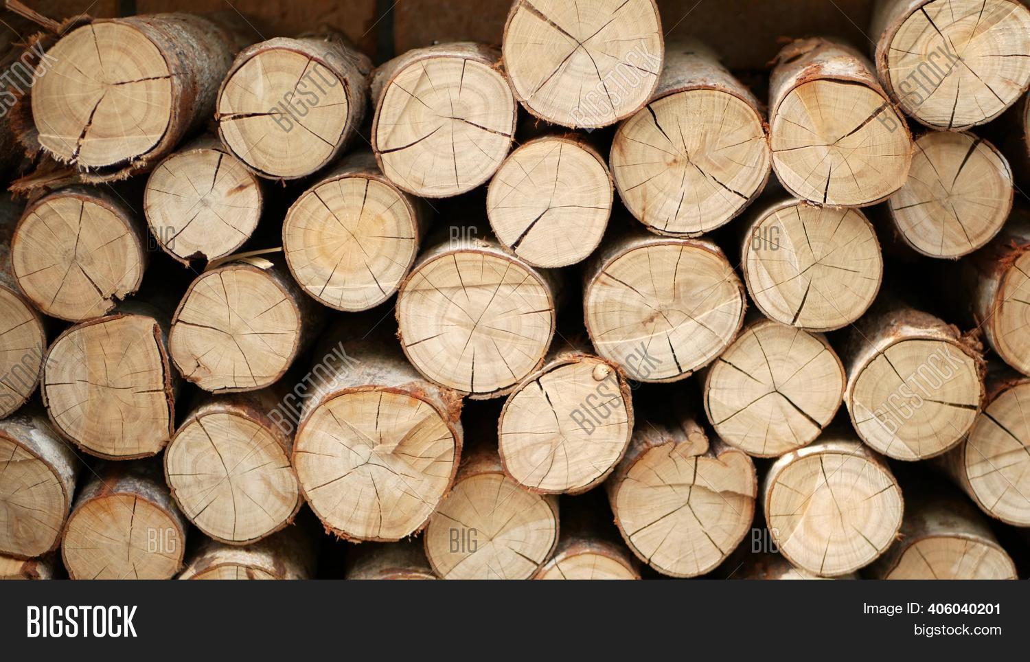 Wooden Logs Placed Image & Photo (Free Trial) | Bigstock