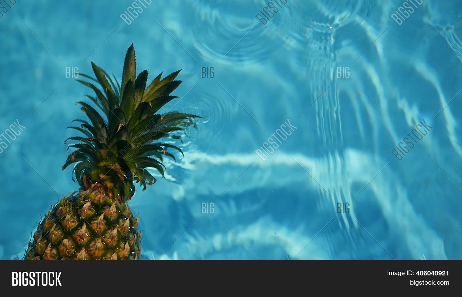 Pineapple Floating Image & Photo (Free Trial) | Bigstock