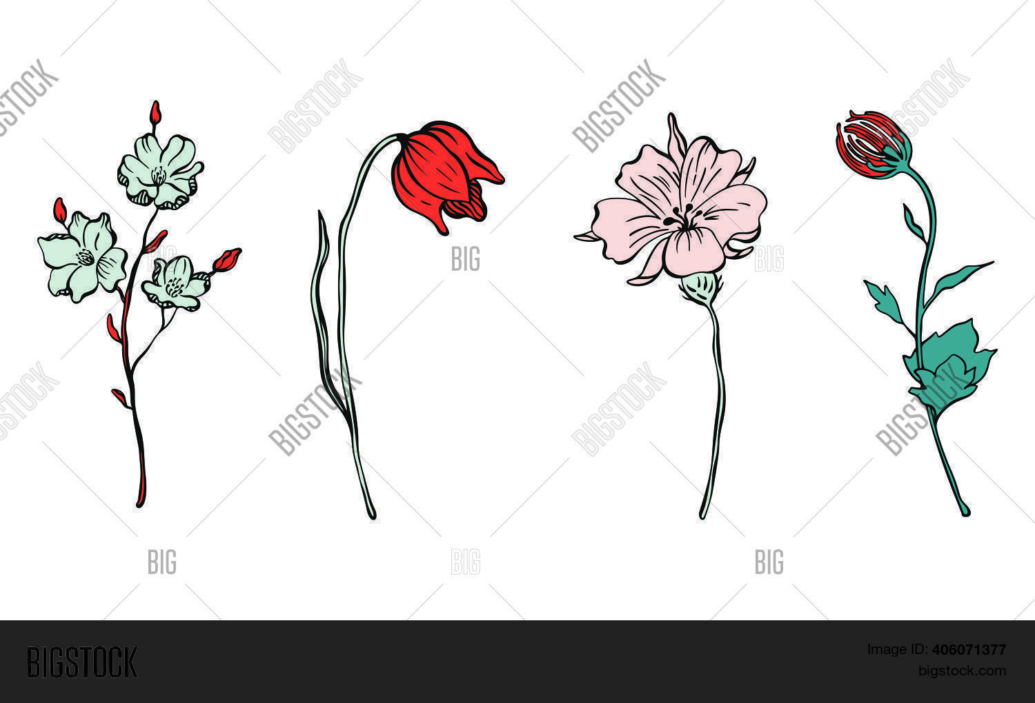 Set Floral Elements. Vector & Photo (Free Trial) | Bigstock