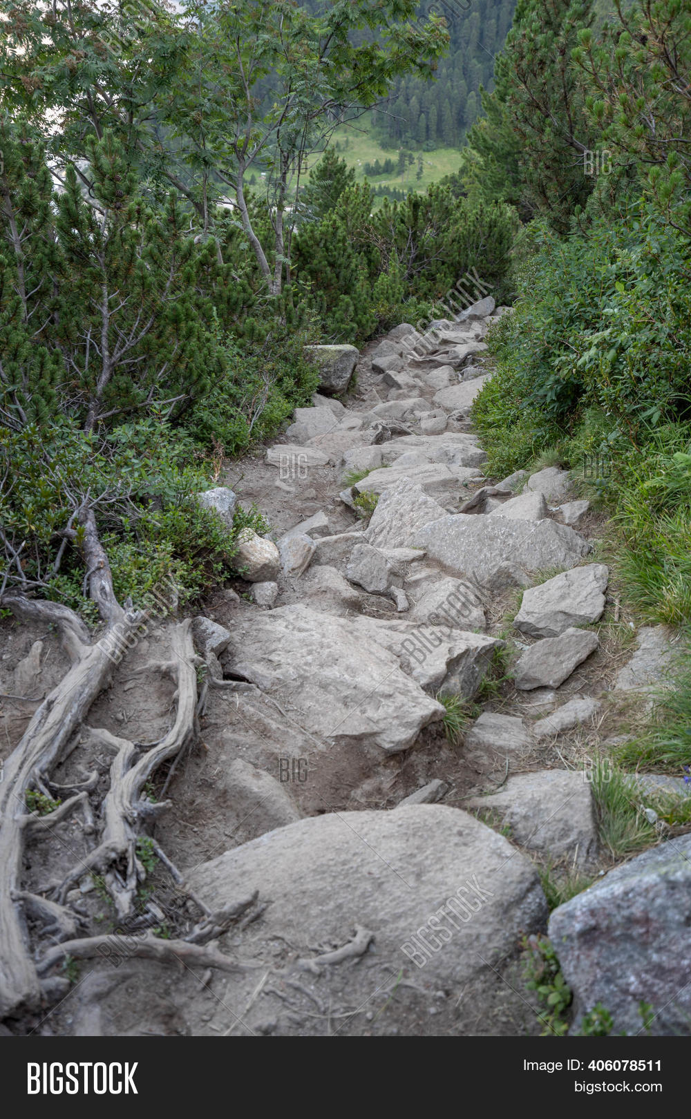 Rocky Pathway Leading Image & Photo (Free Trial) | Bigstock