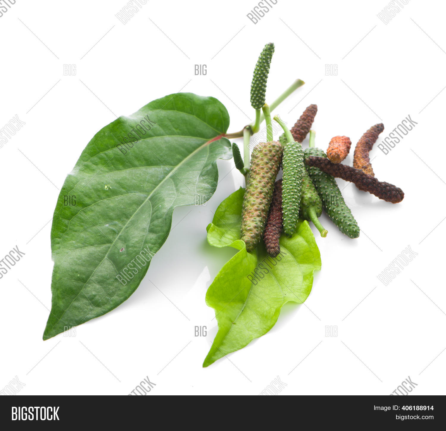 Dipli Isolated Image & Photo (Free Trial) | Bigstock