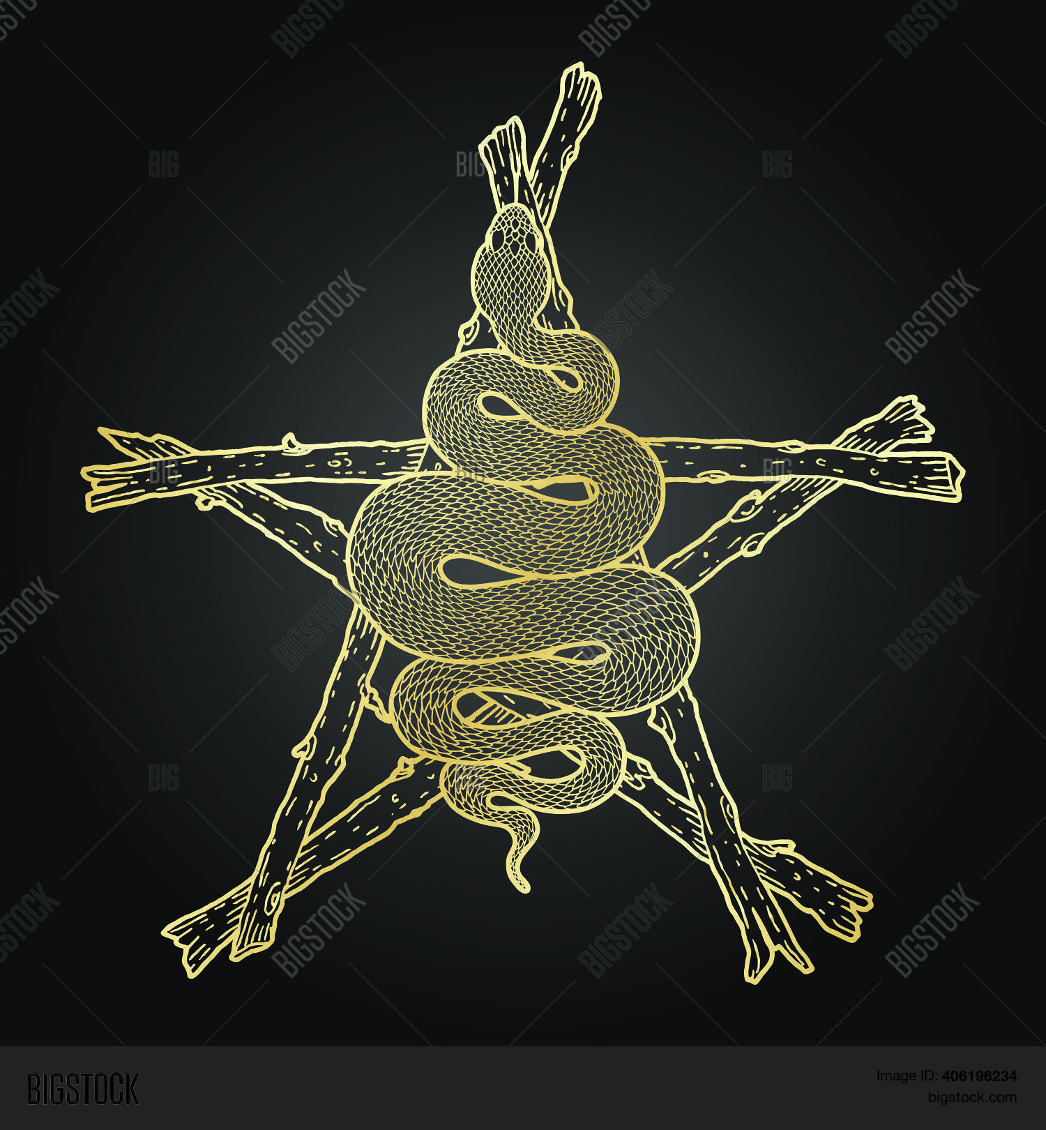 Coiled Snake Over Vector & Photo (Free Trial) | Bigstock