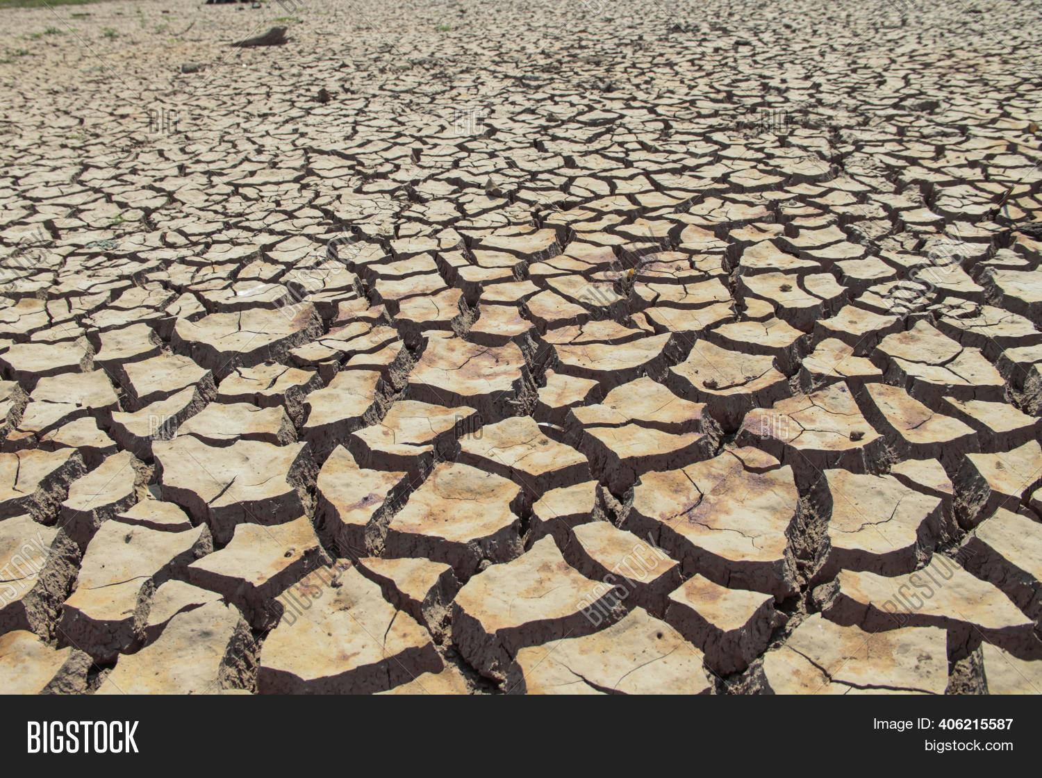 Drought Land Texture Image & Photo (Free Trial) | Bigstock