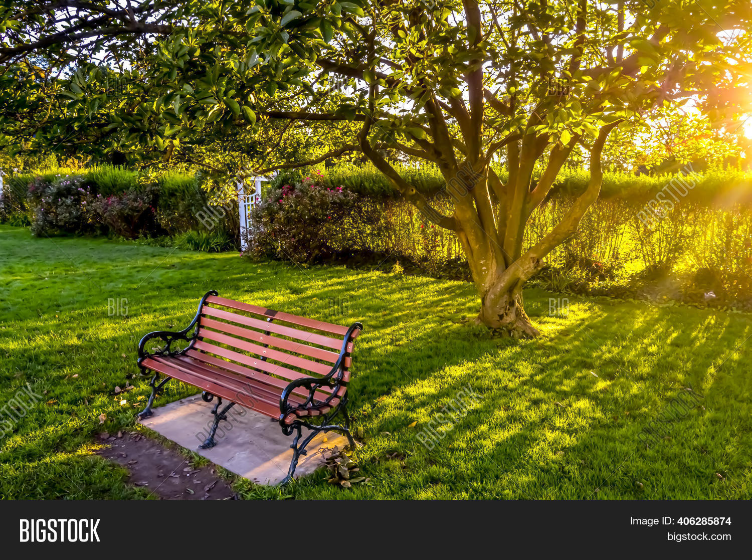 Empty Wooden Bench Image & Photo (Free Trial) | Bigstock
