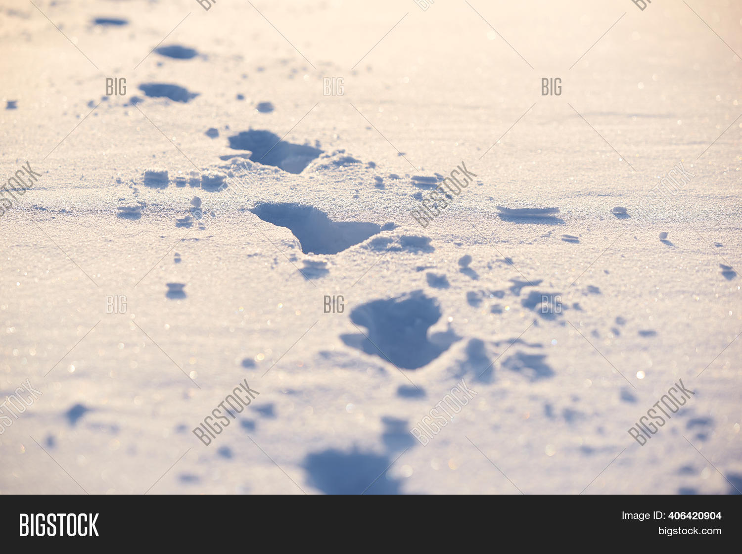 Human Traces On Snow. Image & Photo (Free Trial) | Bigstock