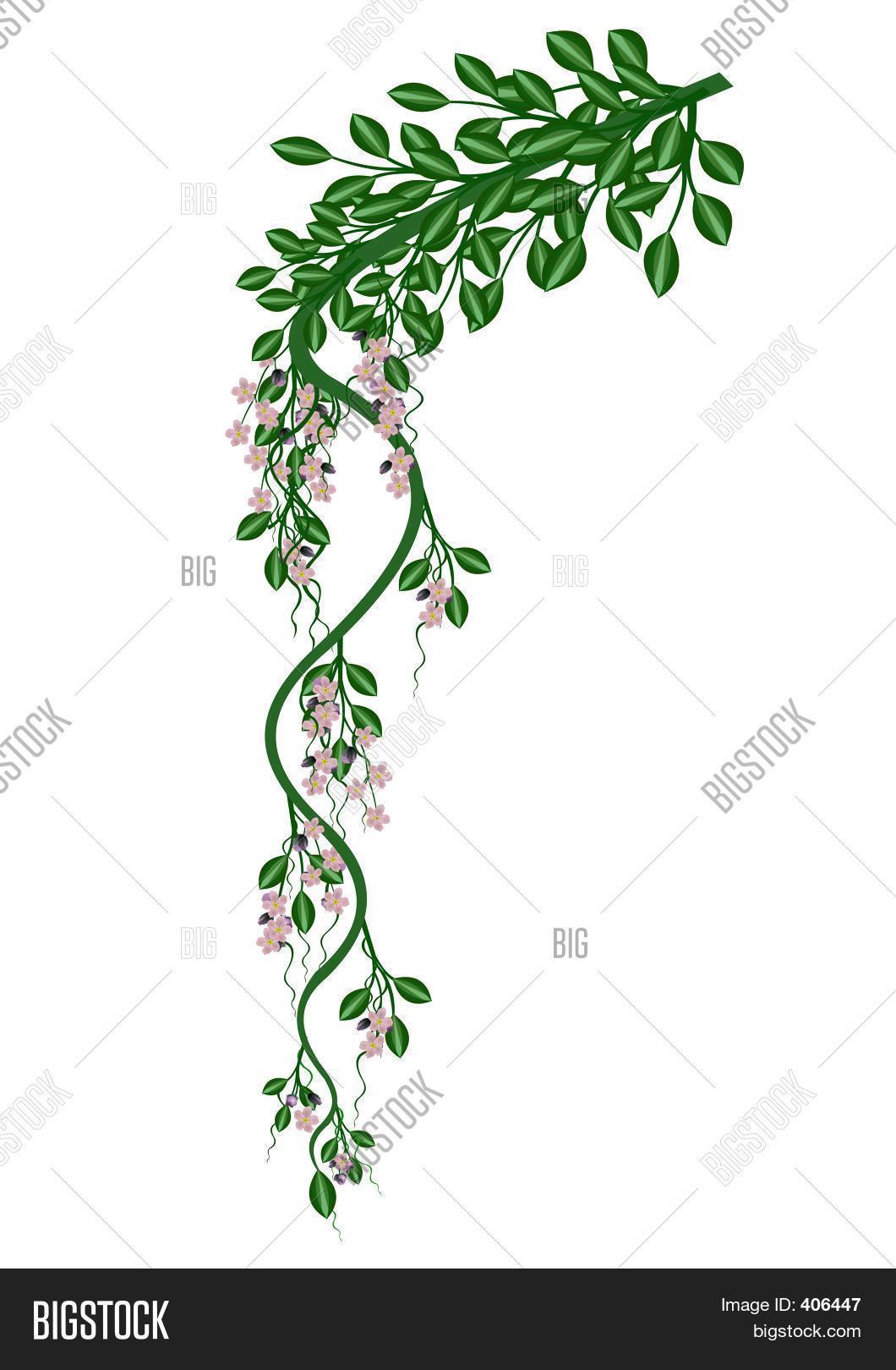 Twisted Plant Image & Photo (Free Trial) | Bigstock