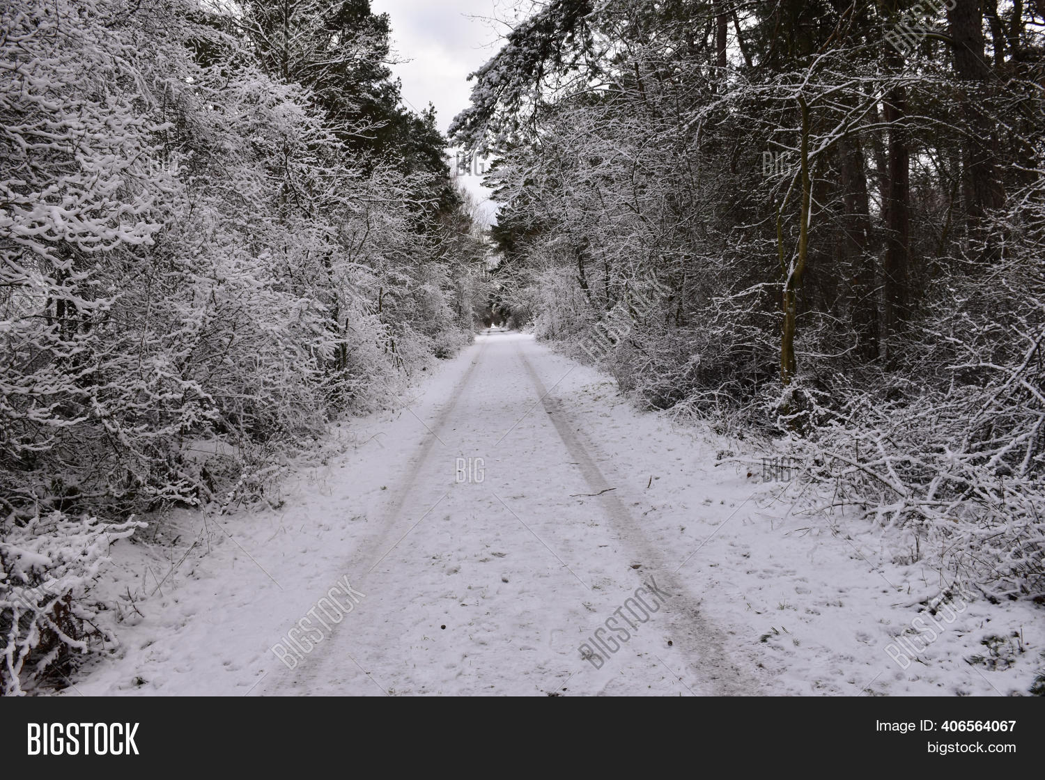Snowy Country Road Image & Photo (Free Trial) | Bigstock