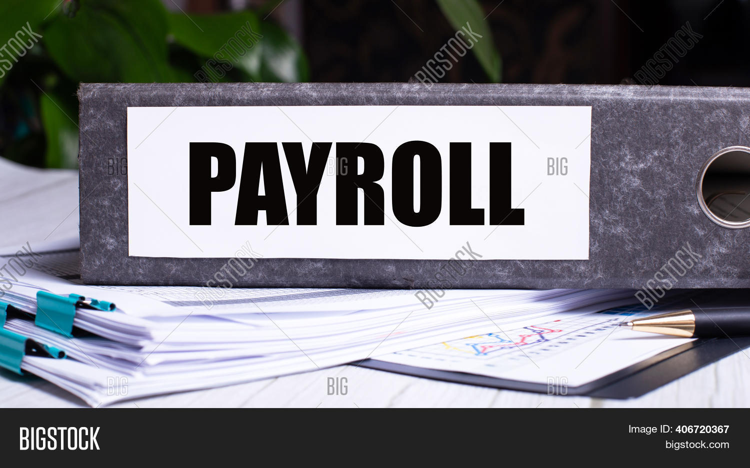 Word Payroll Written Image & Photo (Free Trial) | Bigstock