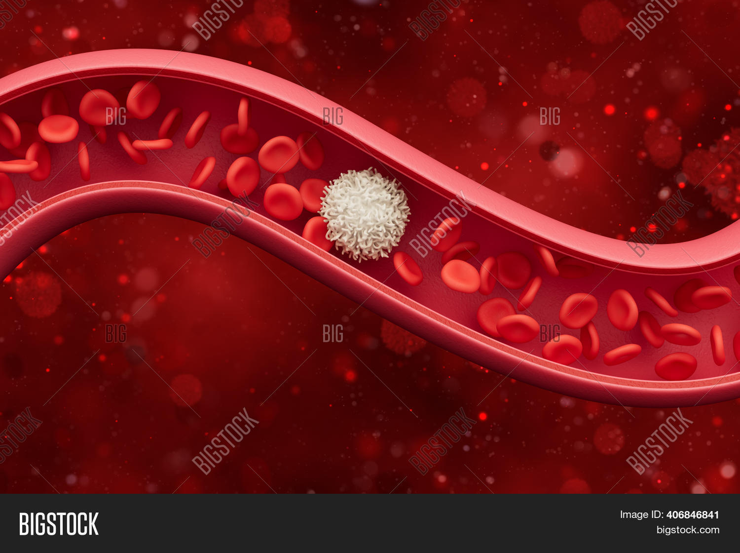 Inside Of A Red Blood Cell