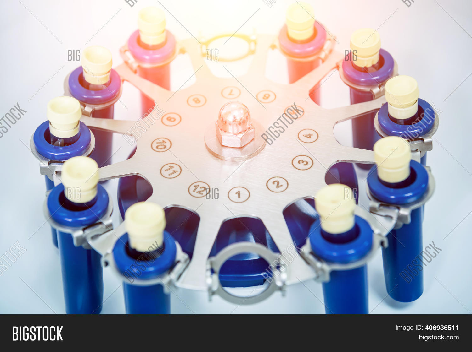 Platelet-rich Plasma Image & Photo (Free Trial) | Bigstock