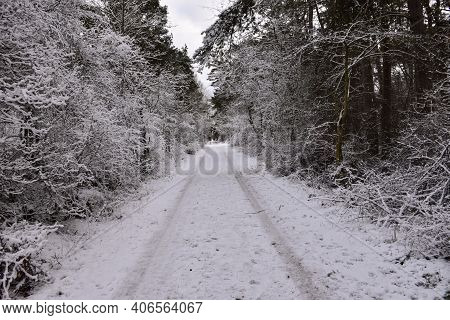 Snowy Country Road Image & Photo (Free Trial) | Bigstock