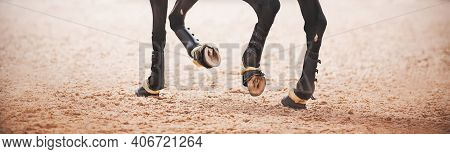 Hooves Black Horse Image & Photo (Free Trial) | Bigstock