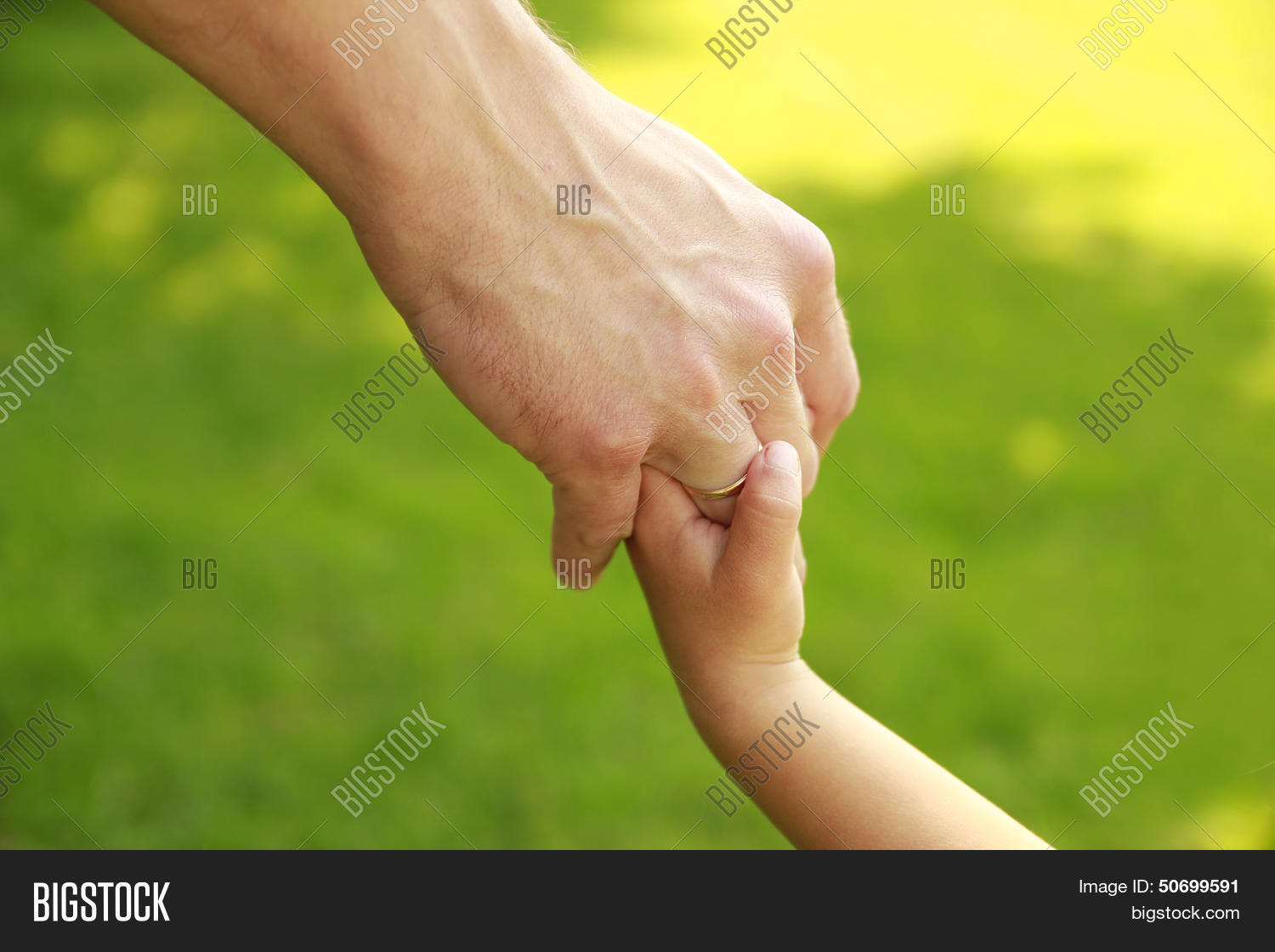 Parent Holds Hand Image & Photo (Free Trial) | Bigstock