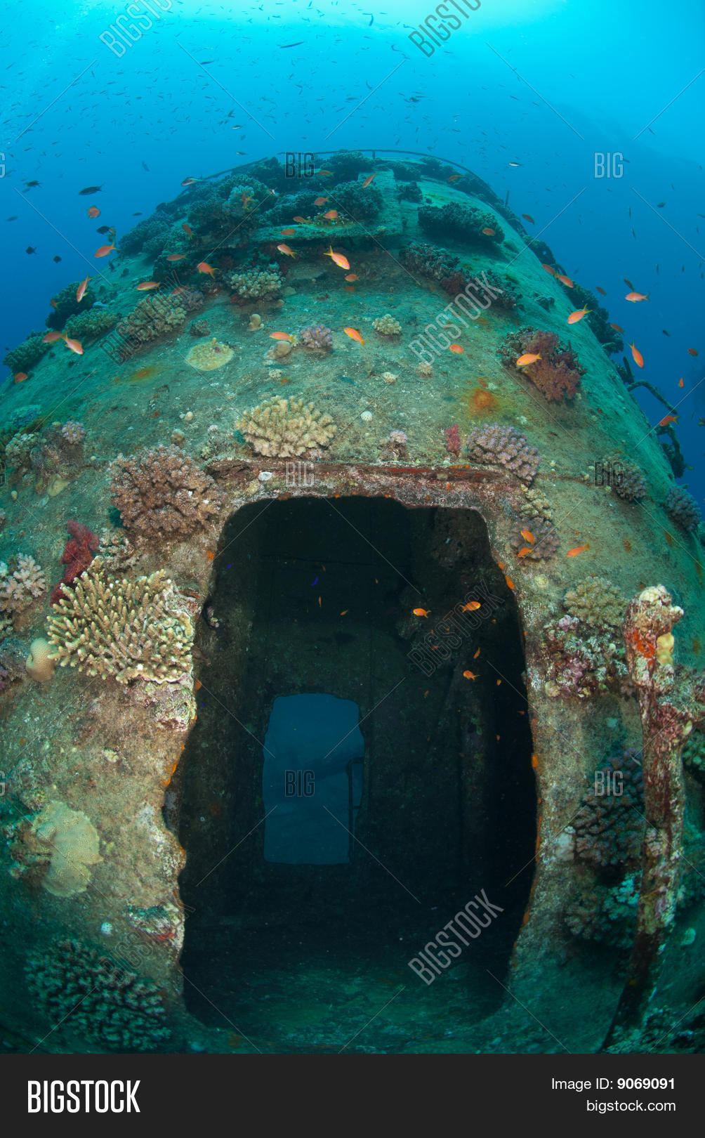 Red Sea Shipwreck Image & Photo (Free Trial) | Bigstock