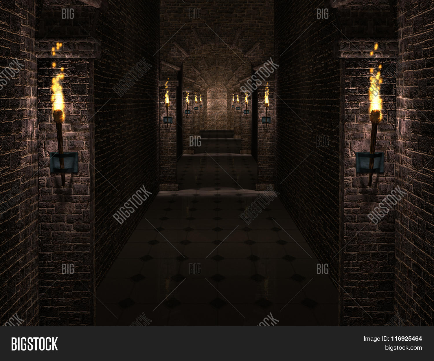 Castle Corridor Image & Photo (Free Trial) | Bigstock