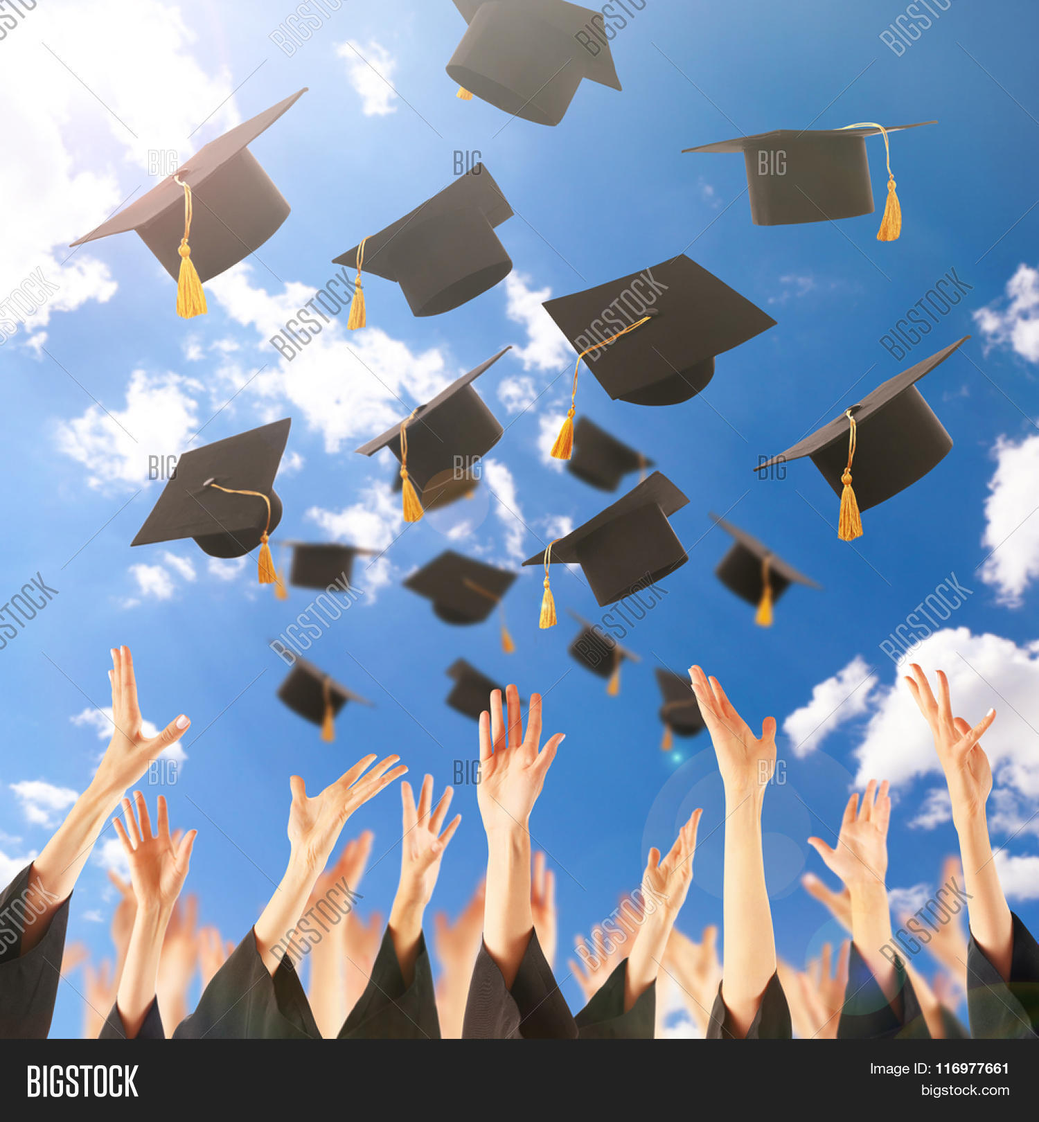 Graduates Hands Image & Photo (Free Trial) | Bigstock