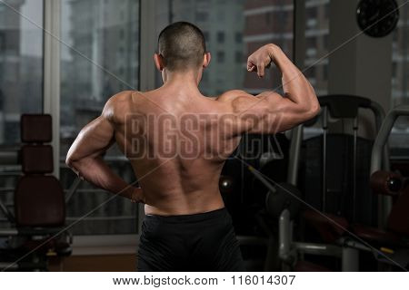 Bodybuilder Biceps Image & Photo (Free Trial) | Bigstock