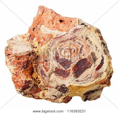 Bauxite (aluminium Ore Image & Photo (Free Trial) | Bigstock