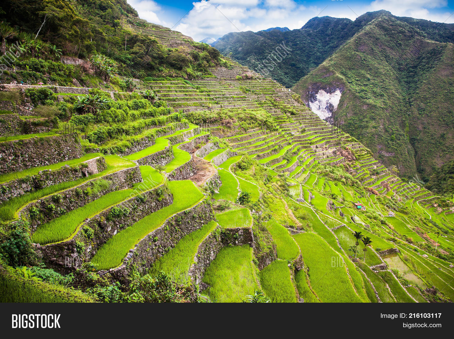 Batad Rice Terraces, Image & Photo (Free Trial) | Bigstock