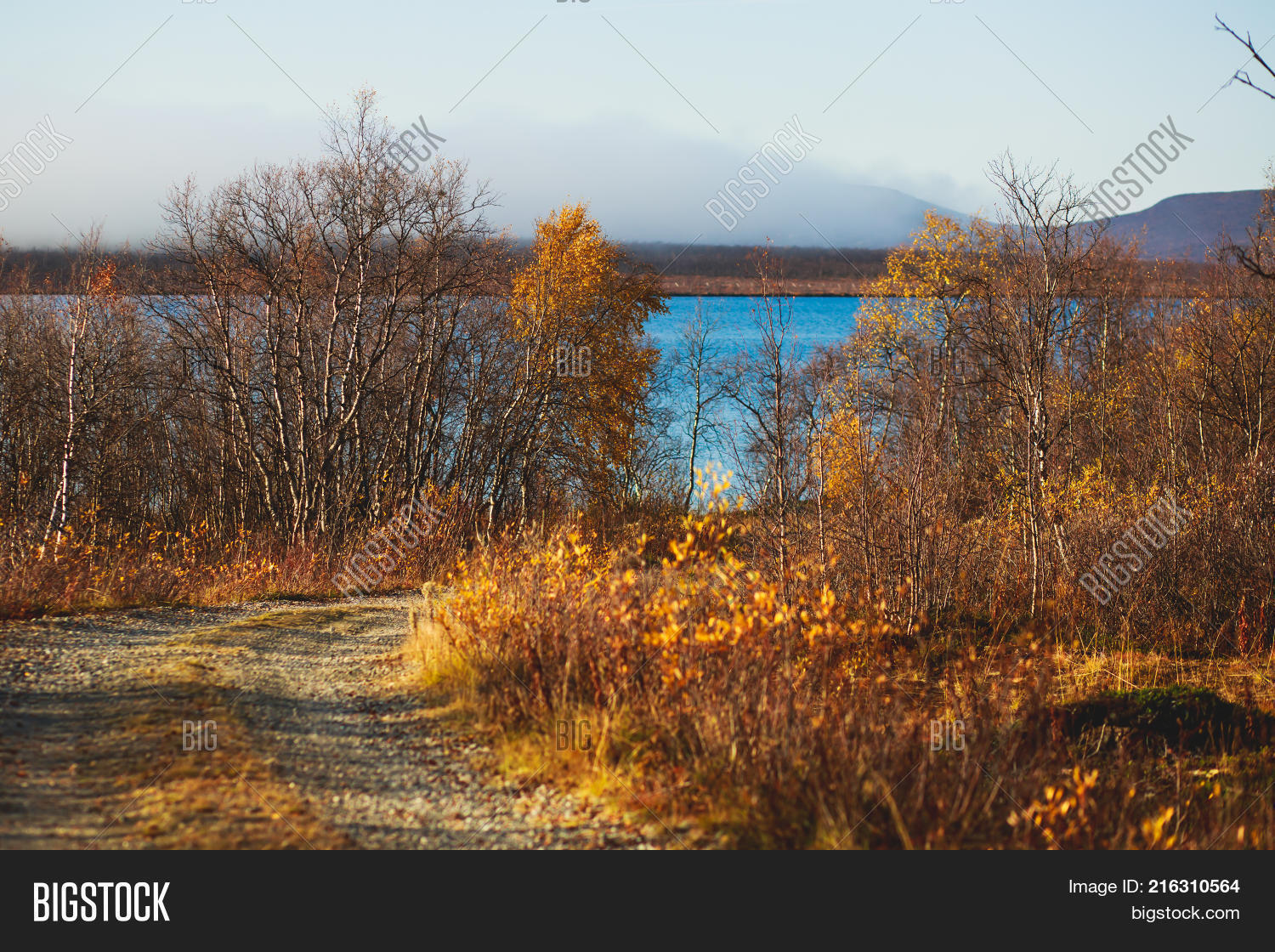 Beautiful Vibrant Fall Image & Photo (Free Trial) | Bigstock