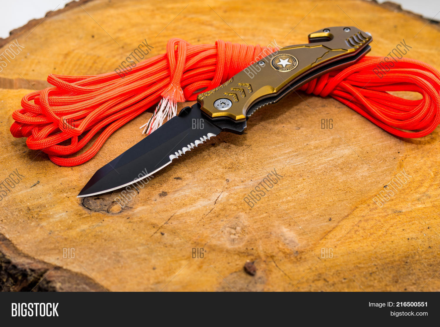 Folding Knife Stap Cut Image & Photo (Free Trial) | Bigstock