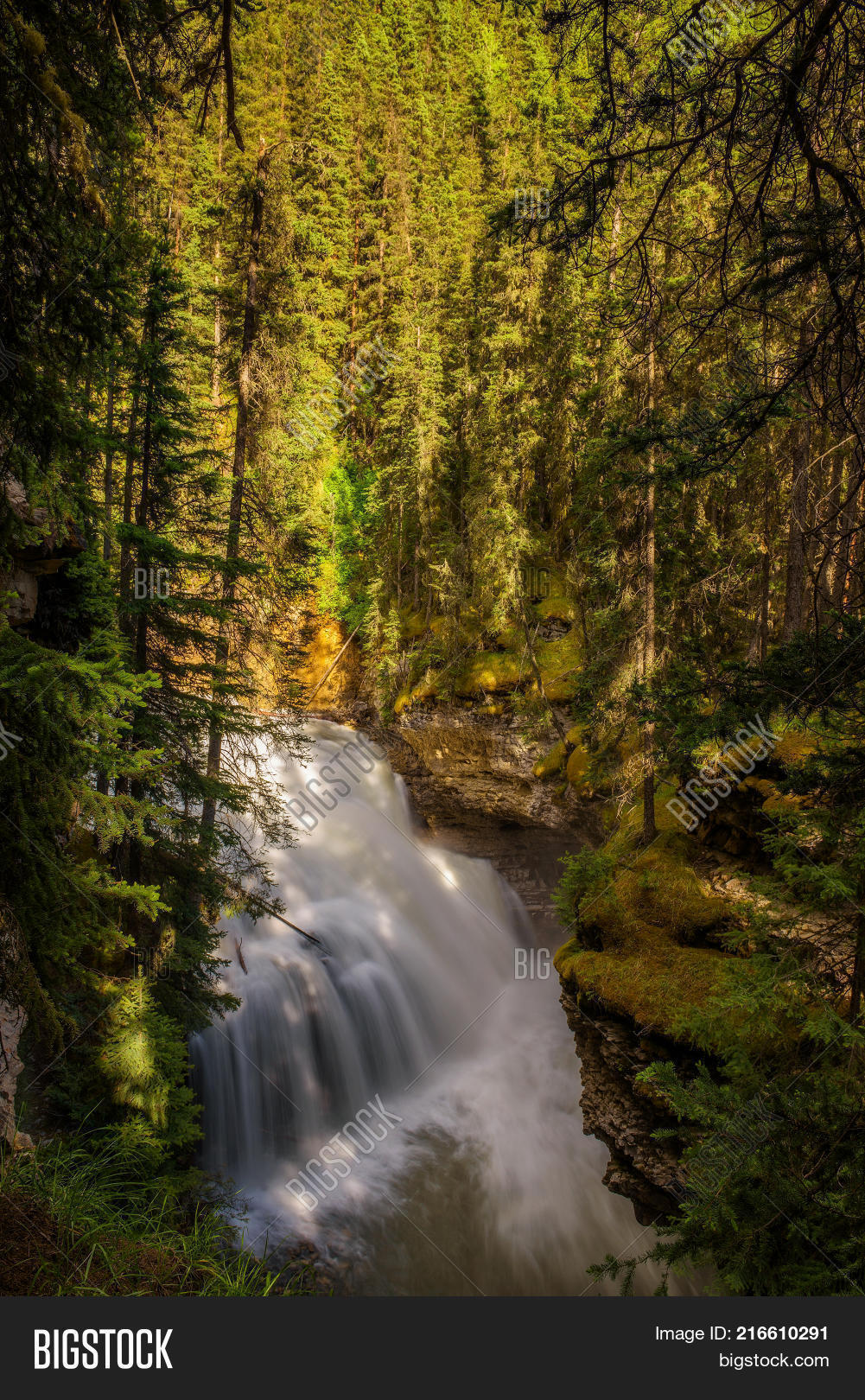 Waterfall Johnston Image & Photo (Free Trial) | Bigstock