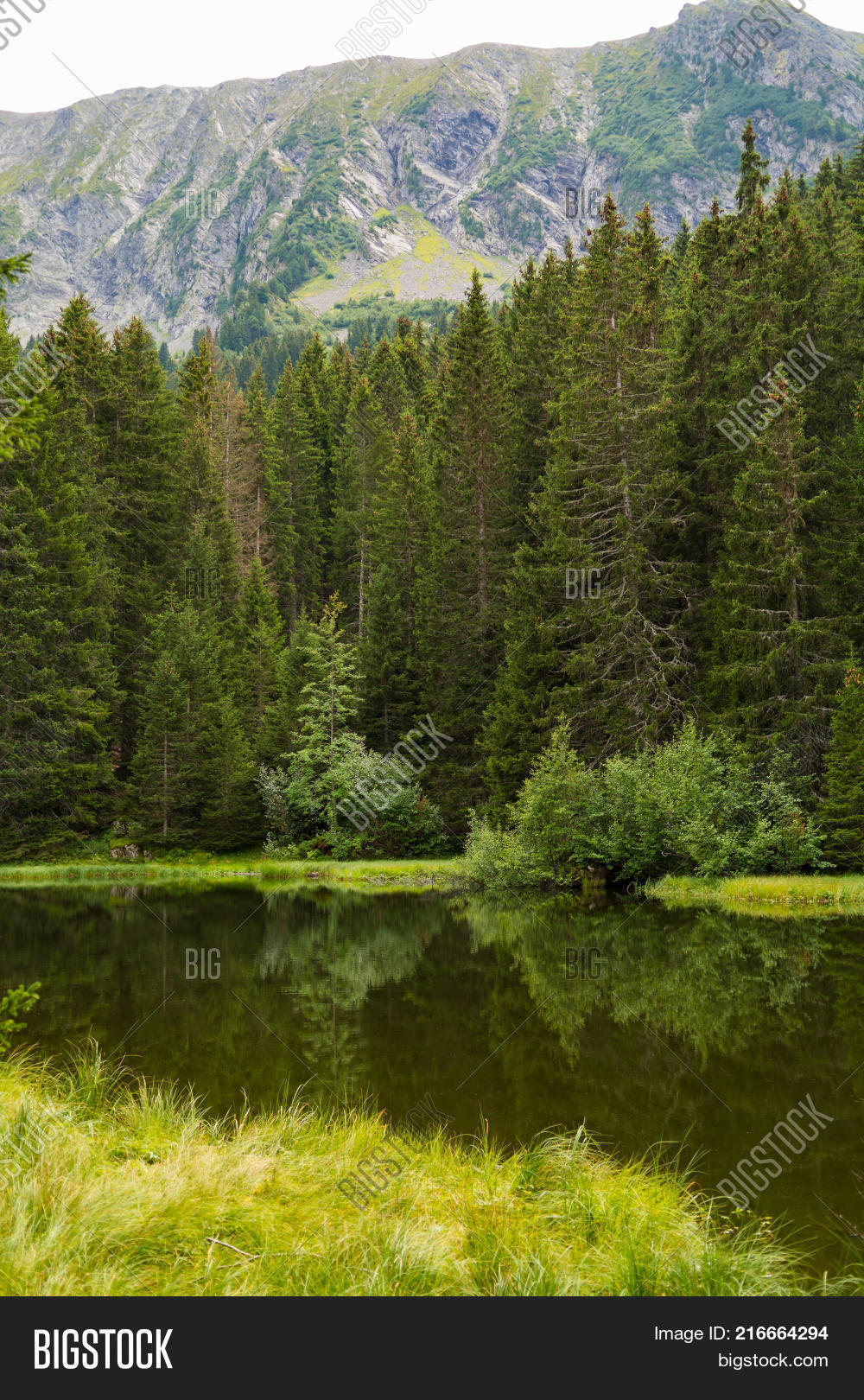 Small Forest Lake Image & Photo (Free Trial) | Bigstock