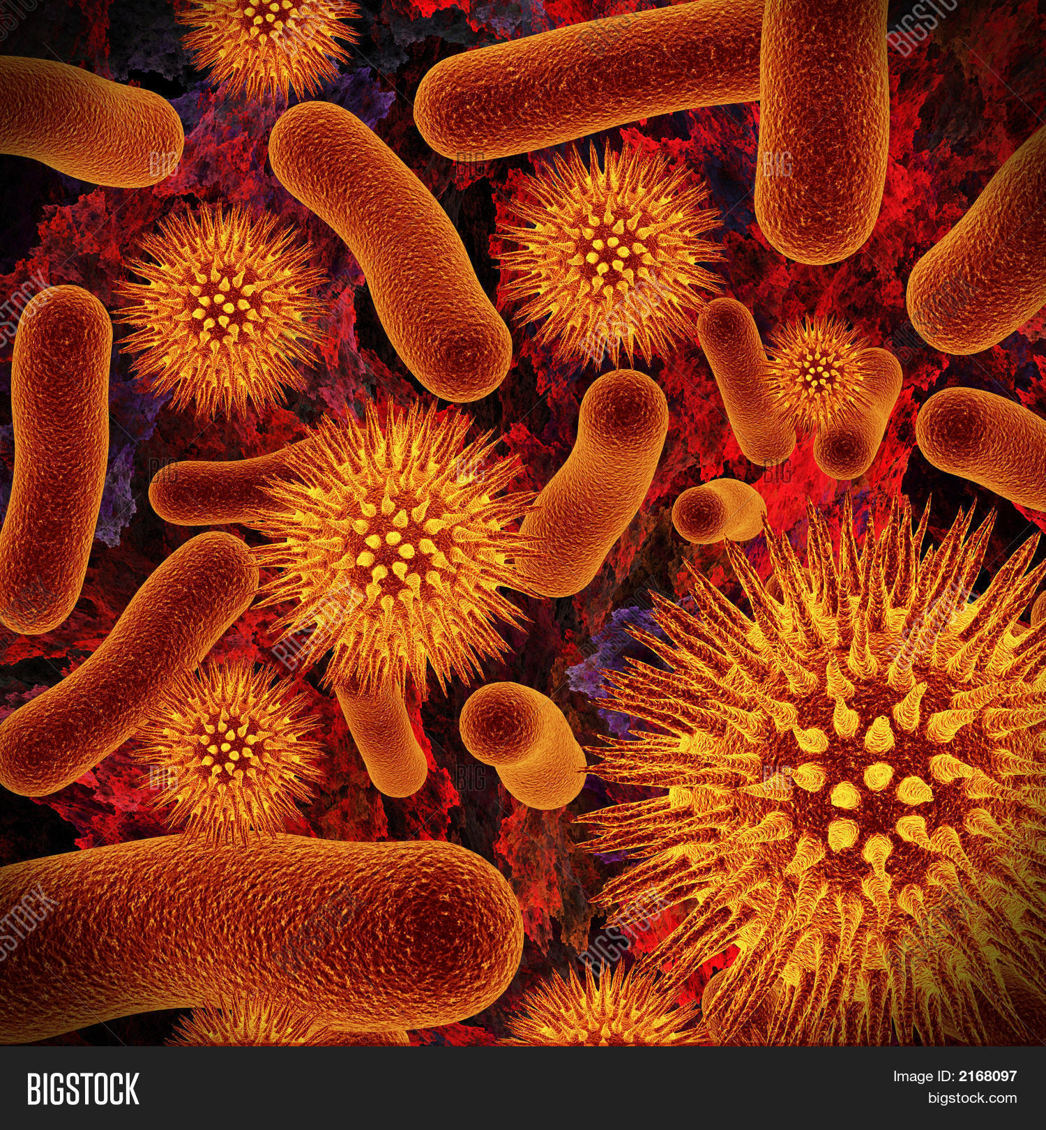 Imagen Y Foto Bacterias Prueba Gratis Bigstock