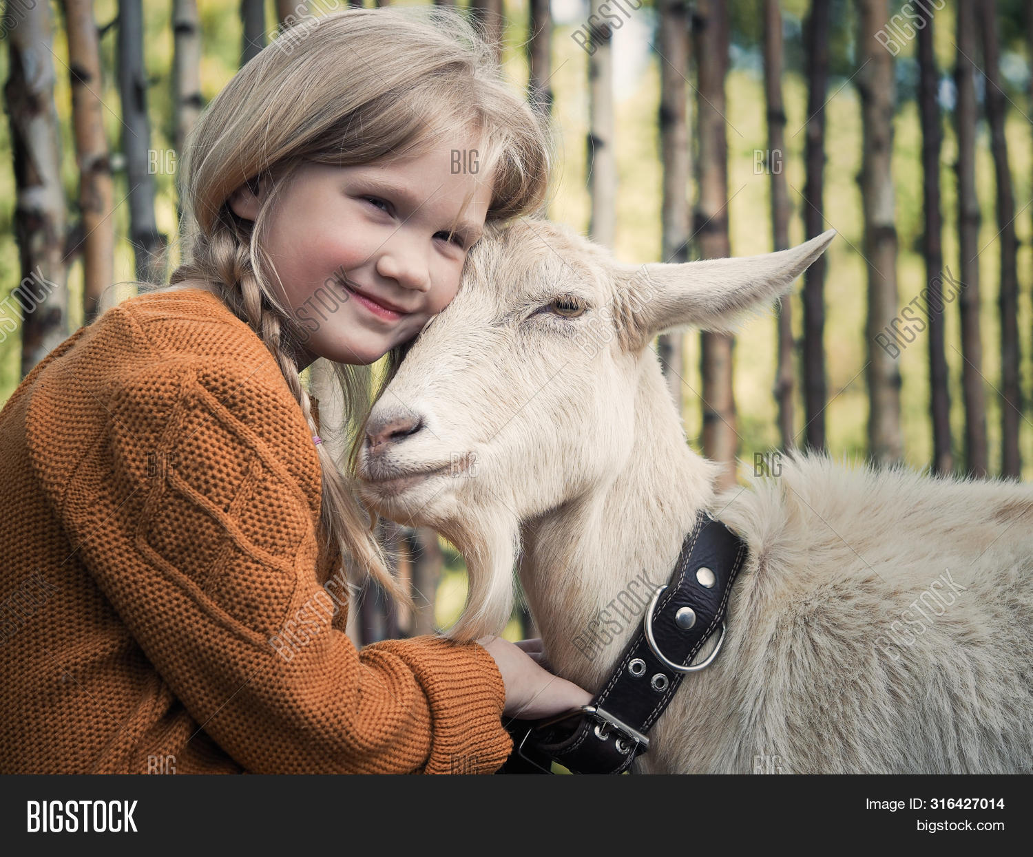 Child Goat. Portrait Image & Photo (Free Trial) | Bigstock
