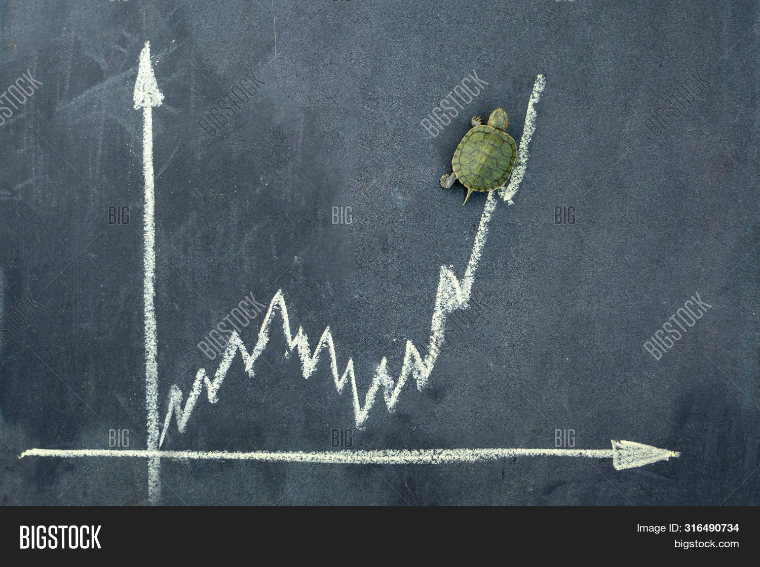 Slow Stable Investment Image & Photo (Free Trial) | Bigstock