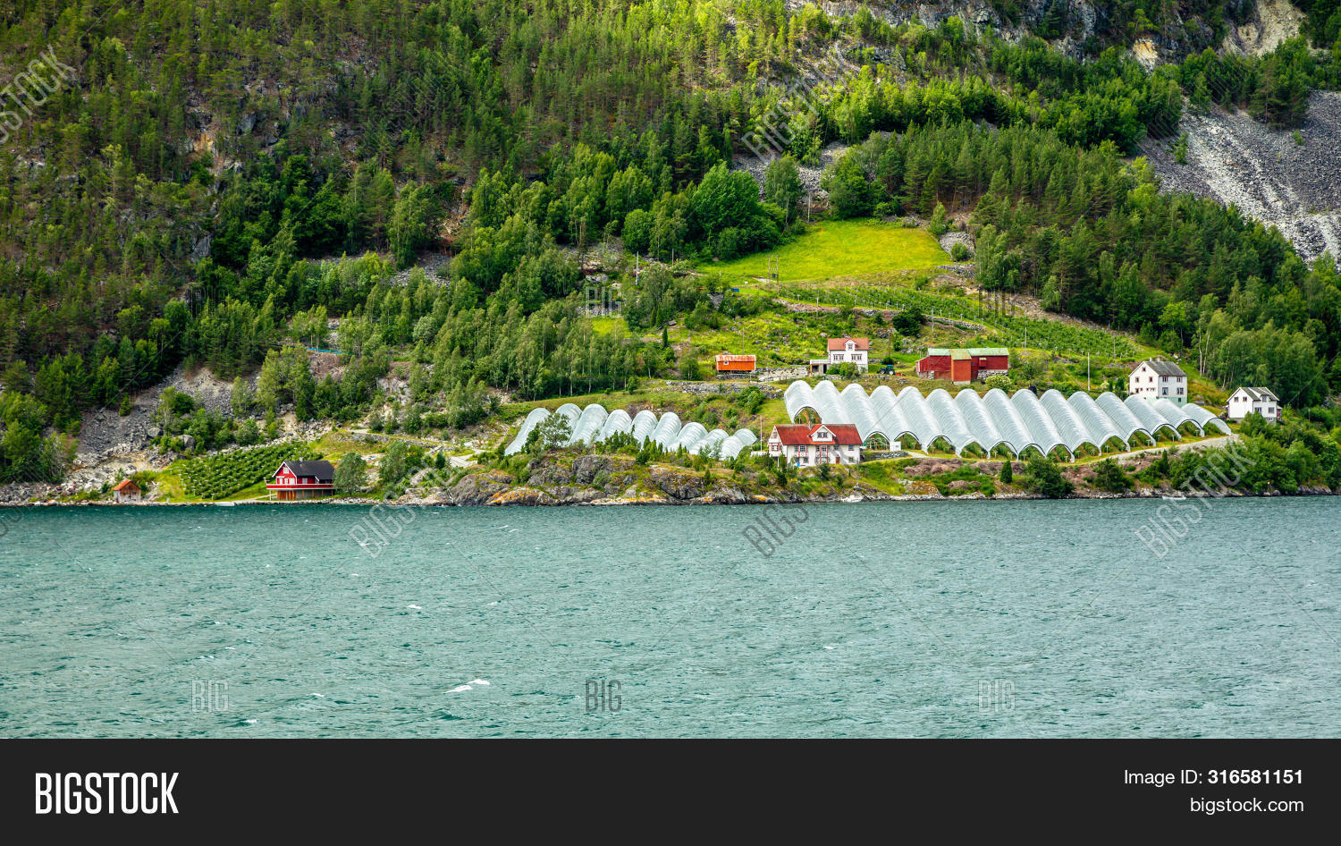 Norwegian Agricultural Image & Photo (Free Trial) | Bigstock