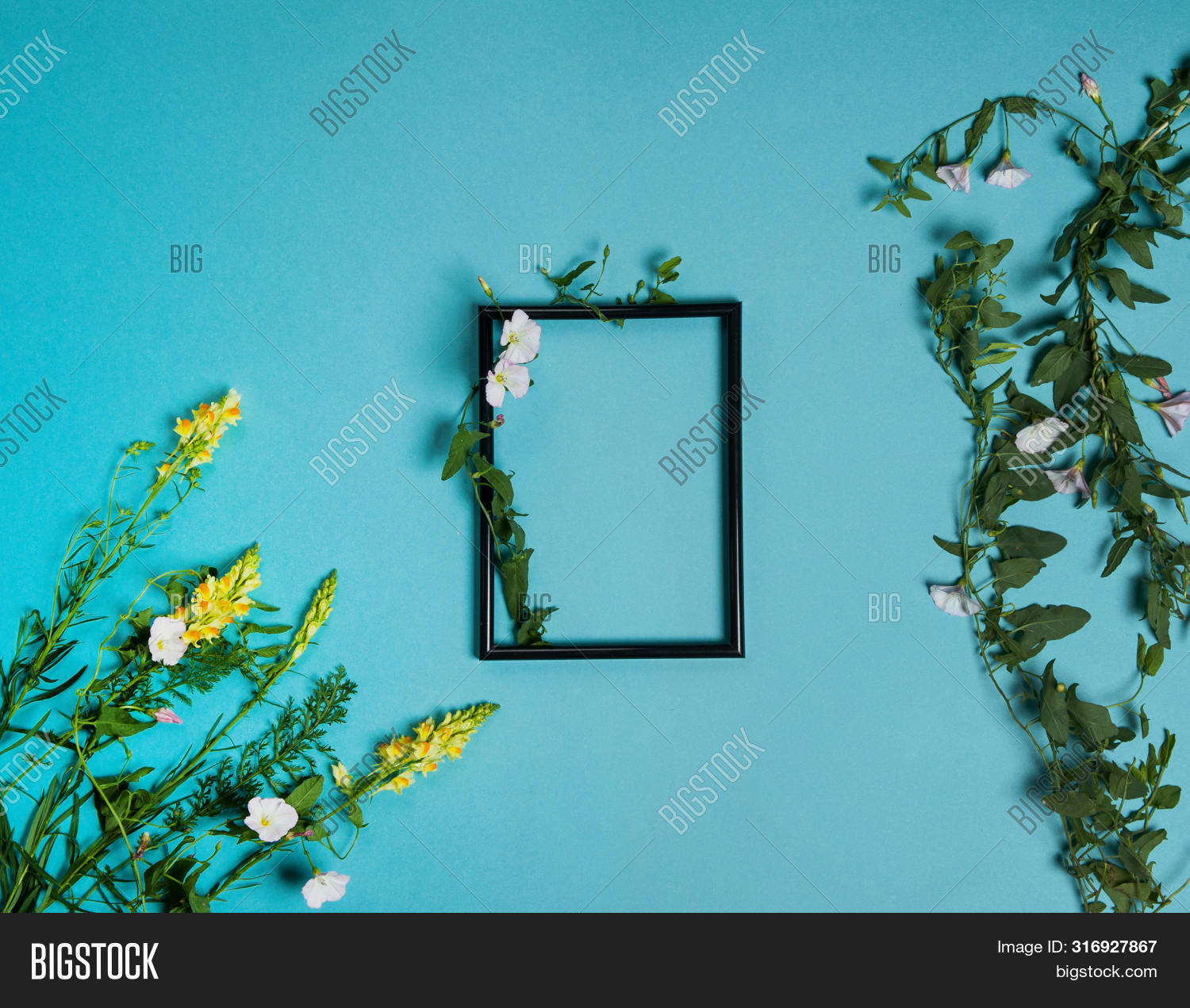 Flower Composition. Image & Photo (Free Trial) | Bigstock