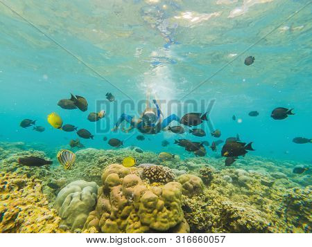 Woman Diving Into Water Images, Illustrations & Vectors (Free) - Bigstock