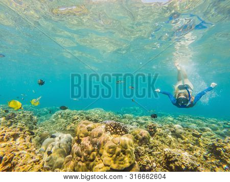 Woman Diving Into Water Images, Illustrations & Vectors (Free) - Bigstock