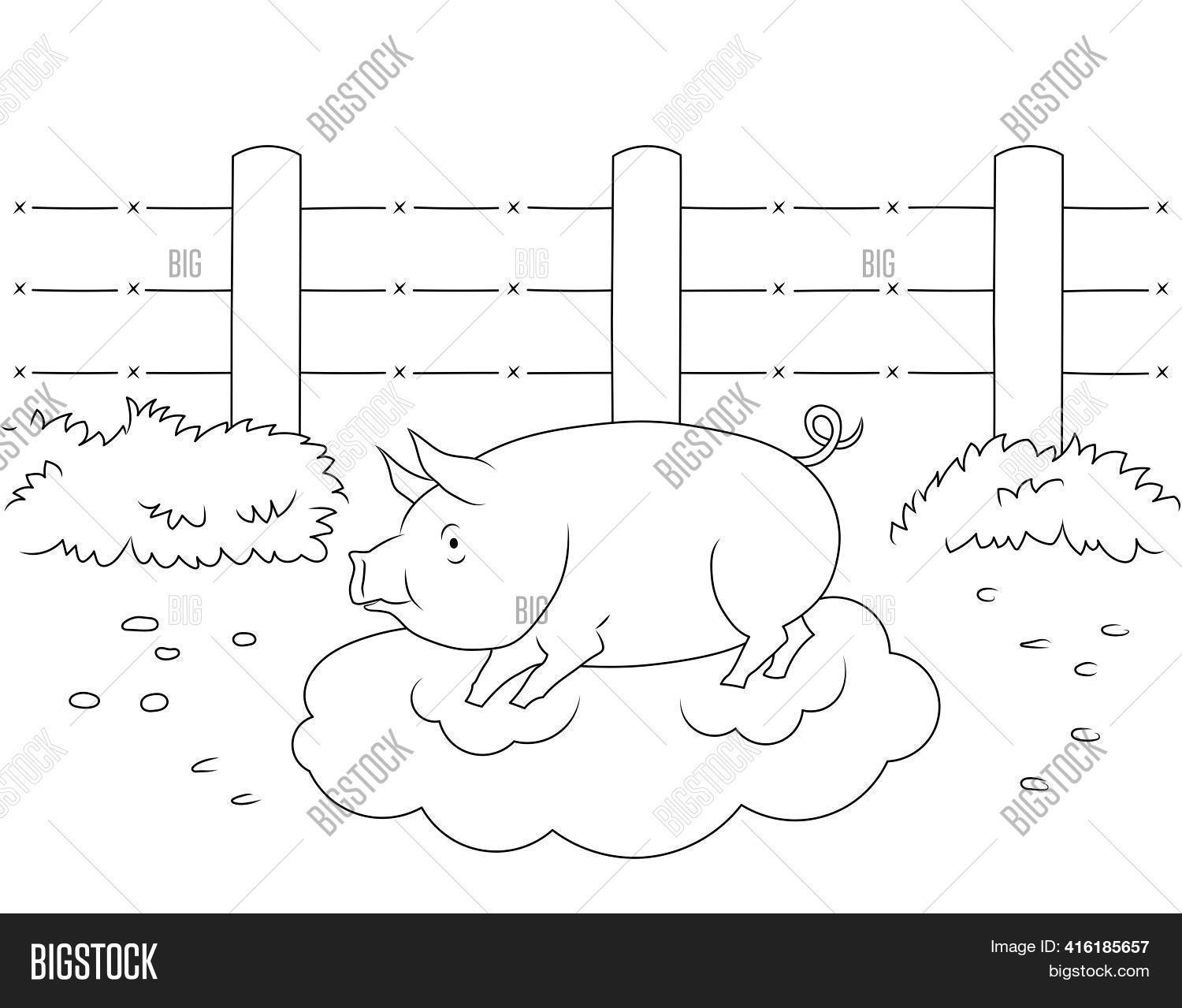 Side View Outline Image & Photo (Free Trial) | Bigstock