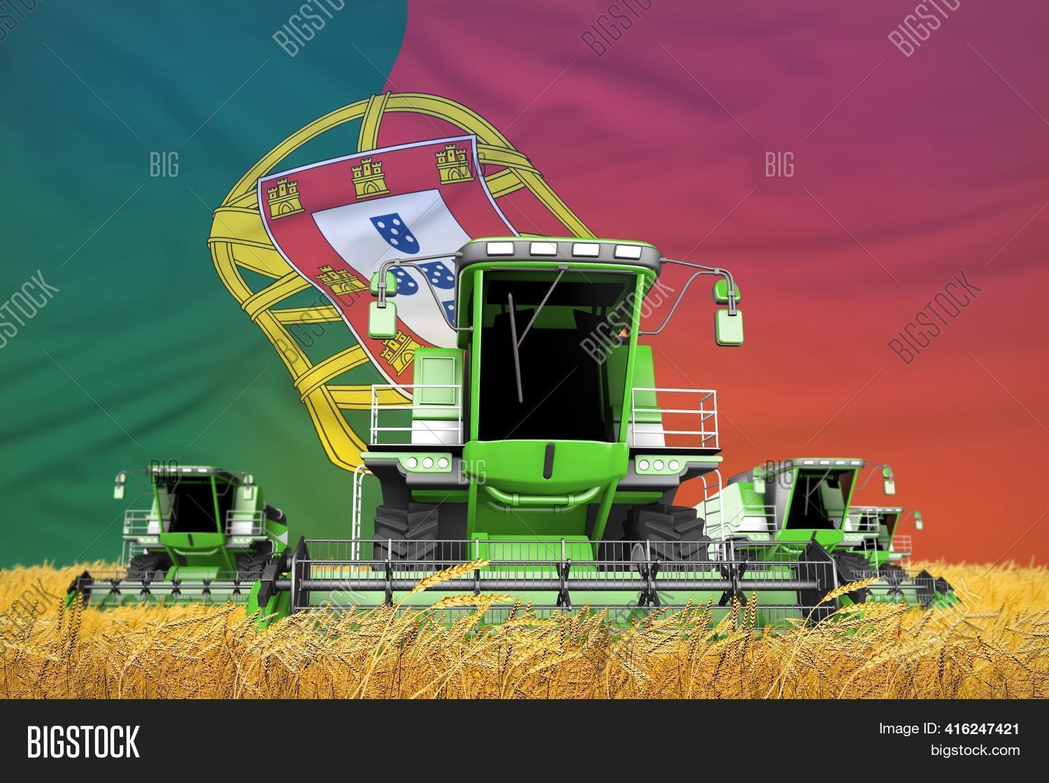 4 Light Green Combine Image & Photo (Free Trial) | Bigstock