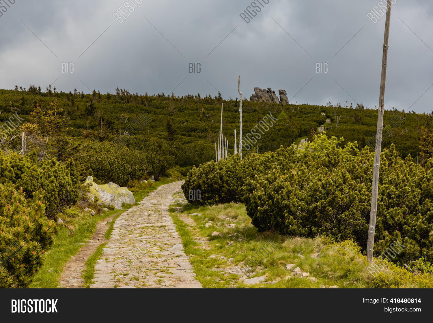 Long Mountain Trail Image & Photo (Free Trial) | Bigstock