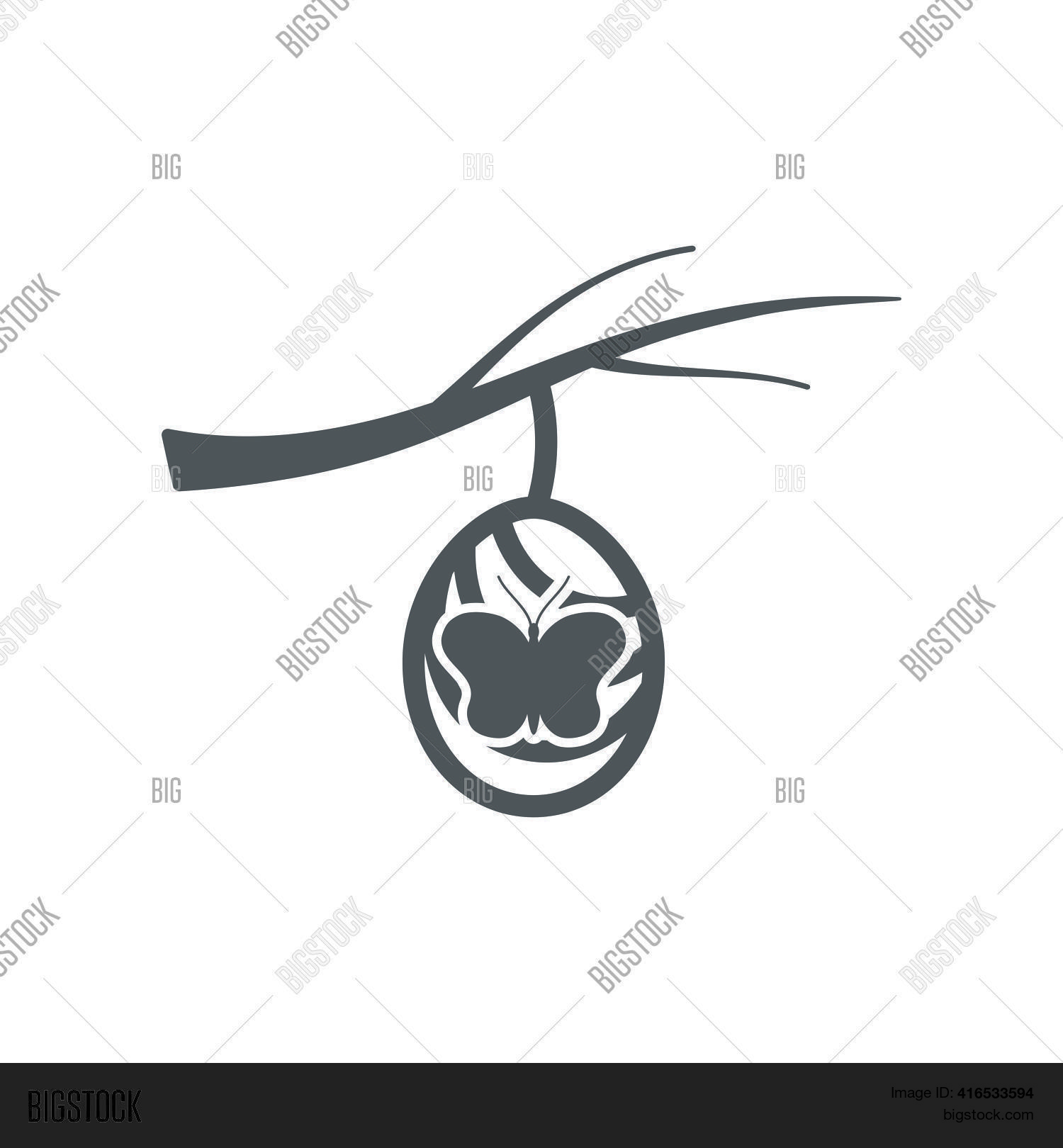 Cocoon Butterfly Icon Vector & Photo (Free Trial) | Bigstock
