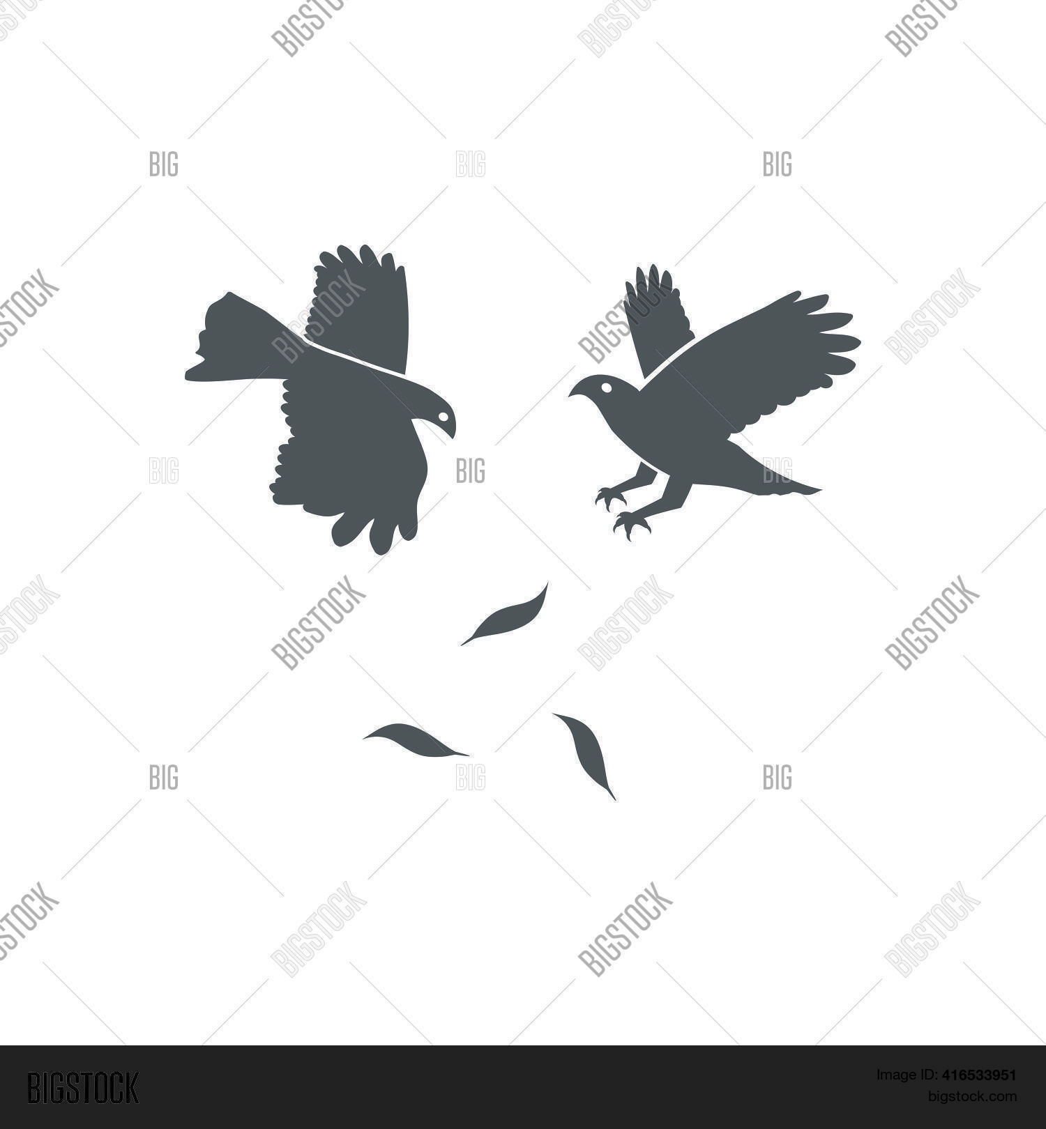 Battle Two Birds Prey Vector & Photo (Free Trial) | Bigstock