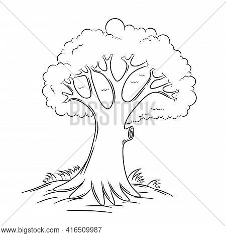 Tree Coloring Page. Vector & Photo (Free Trial) | Bigstock
