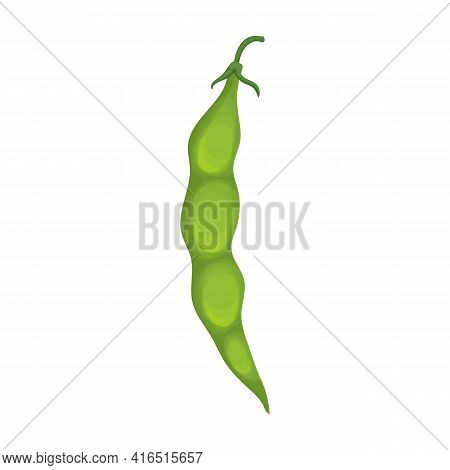 Beans Vector Cartoon Vector & Photo (Free Trial) | Bigstock