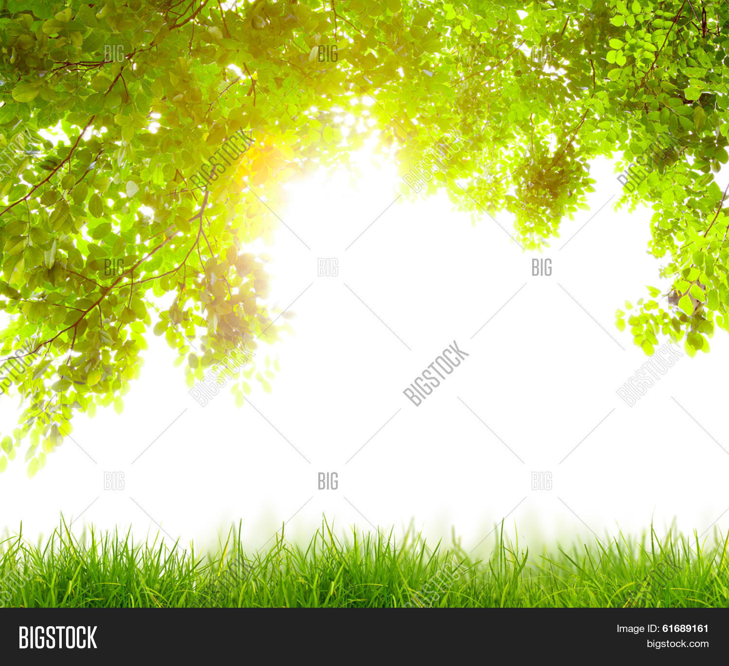 Fresh Spring Green Image & Photo (Free Trial) | Bigstock