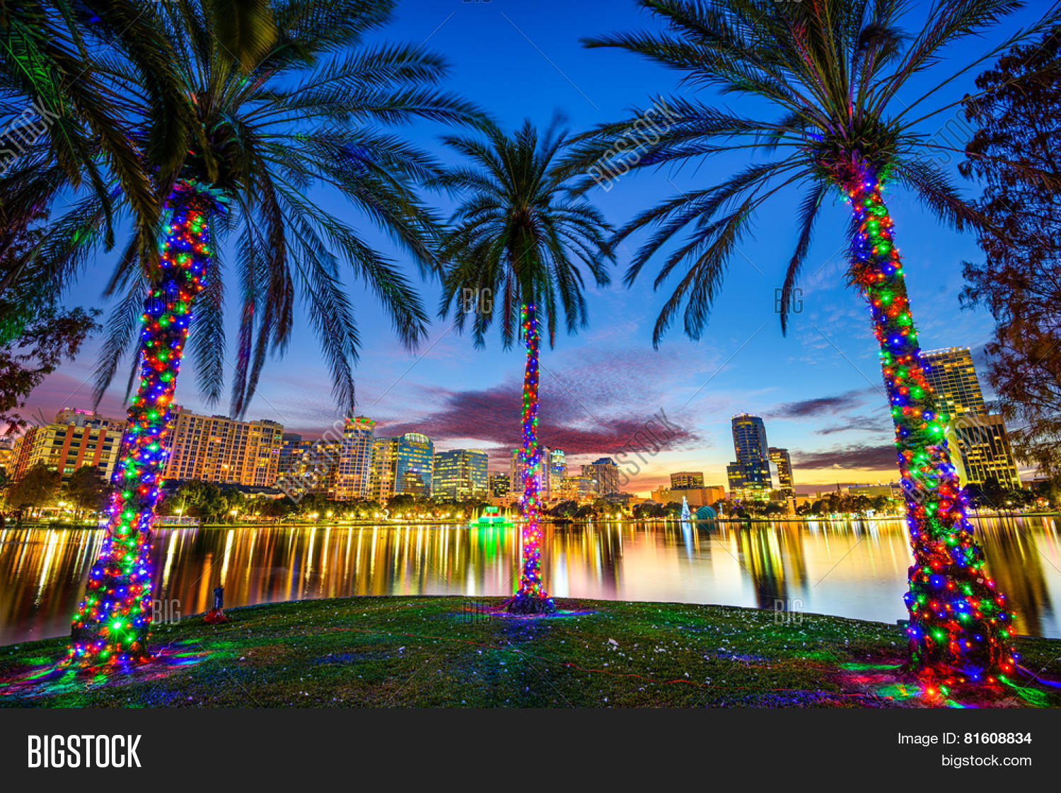 Orlando, Florida, USA Image & Photo (Free Trial) | Bigstock