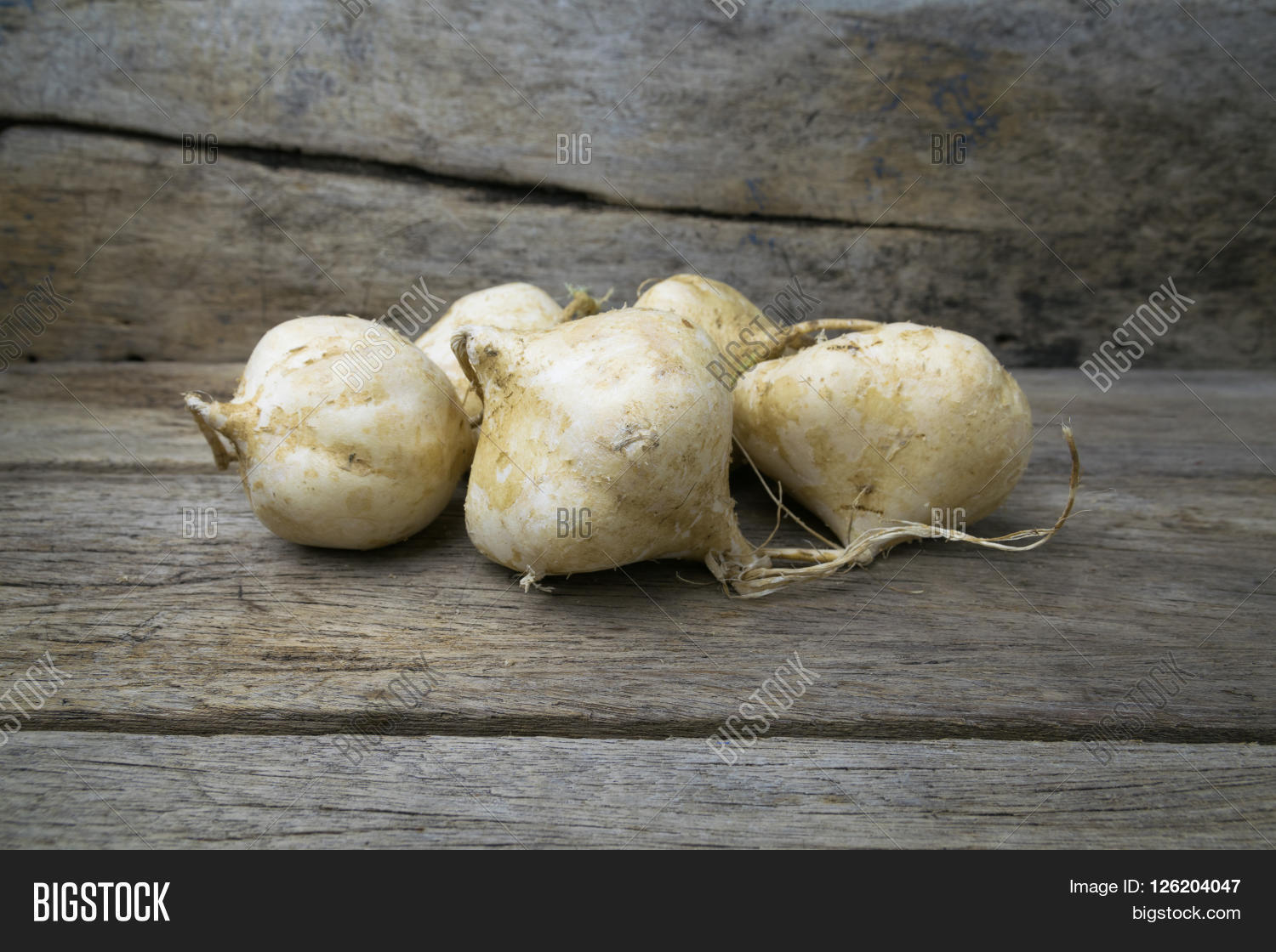 Jicama On Grunge Image & Photo (Free Trial) | Bigstock