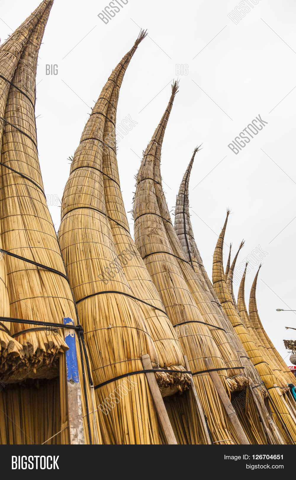 Totora Horses Called " Image & Photo (Free Trial) | Bigstock