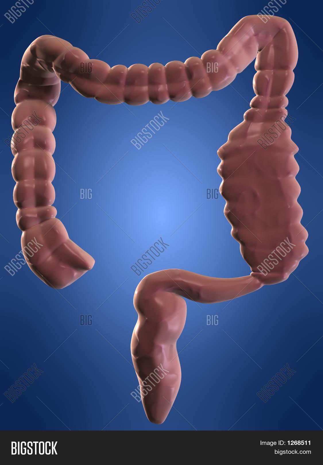 Obstipation Image & Photo (Free Trial) | Bigstock