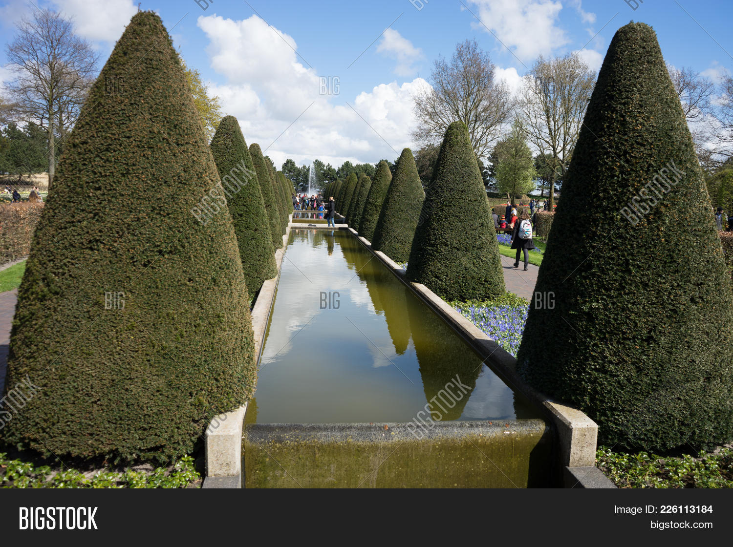 Cone Tree Water Pond Image & Photo (Free Trial) | Bigstock