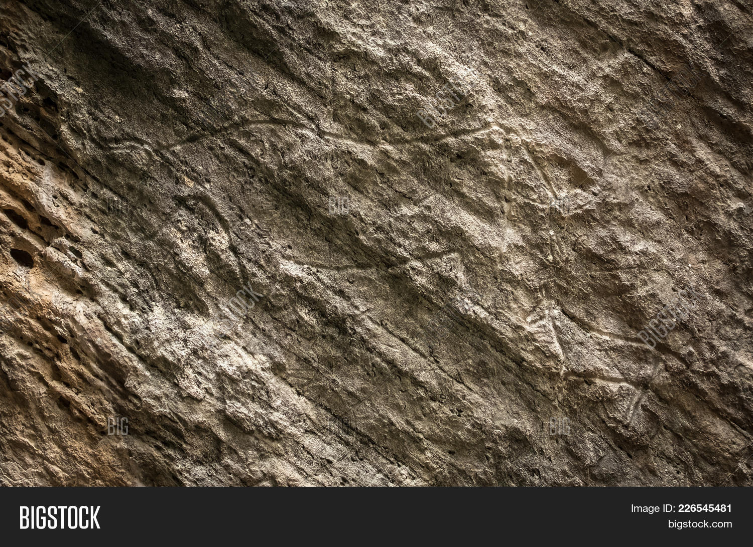 Cows On Stone, Image & Photo (Free Trial) | Bigstock