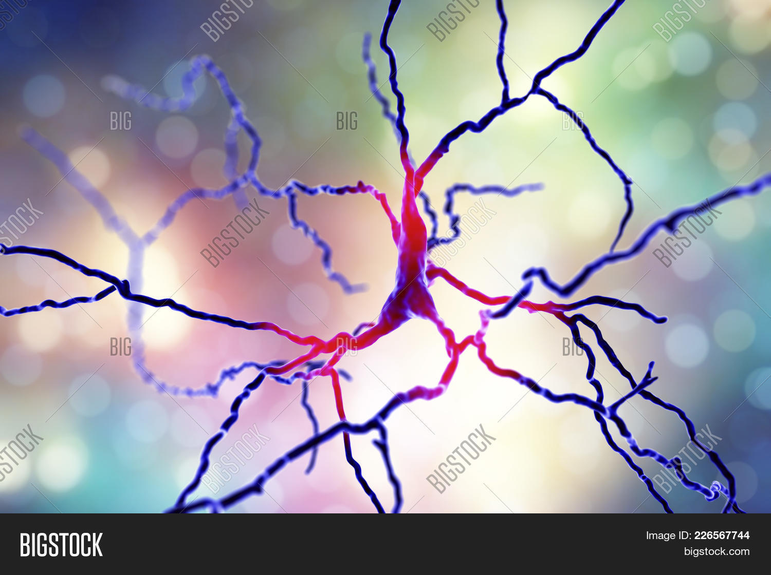 Dopaminergic Neuron. Image & Photo (Free Trial) | Bigstock