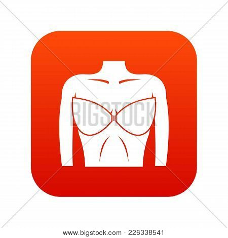 Female Breast Bra Vector & Photo (Free Trial) | Bigstock
